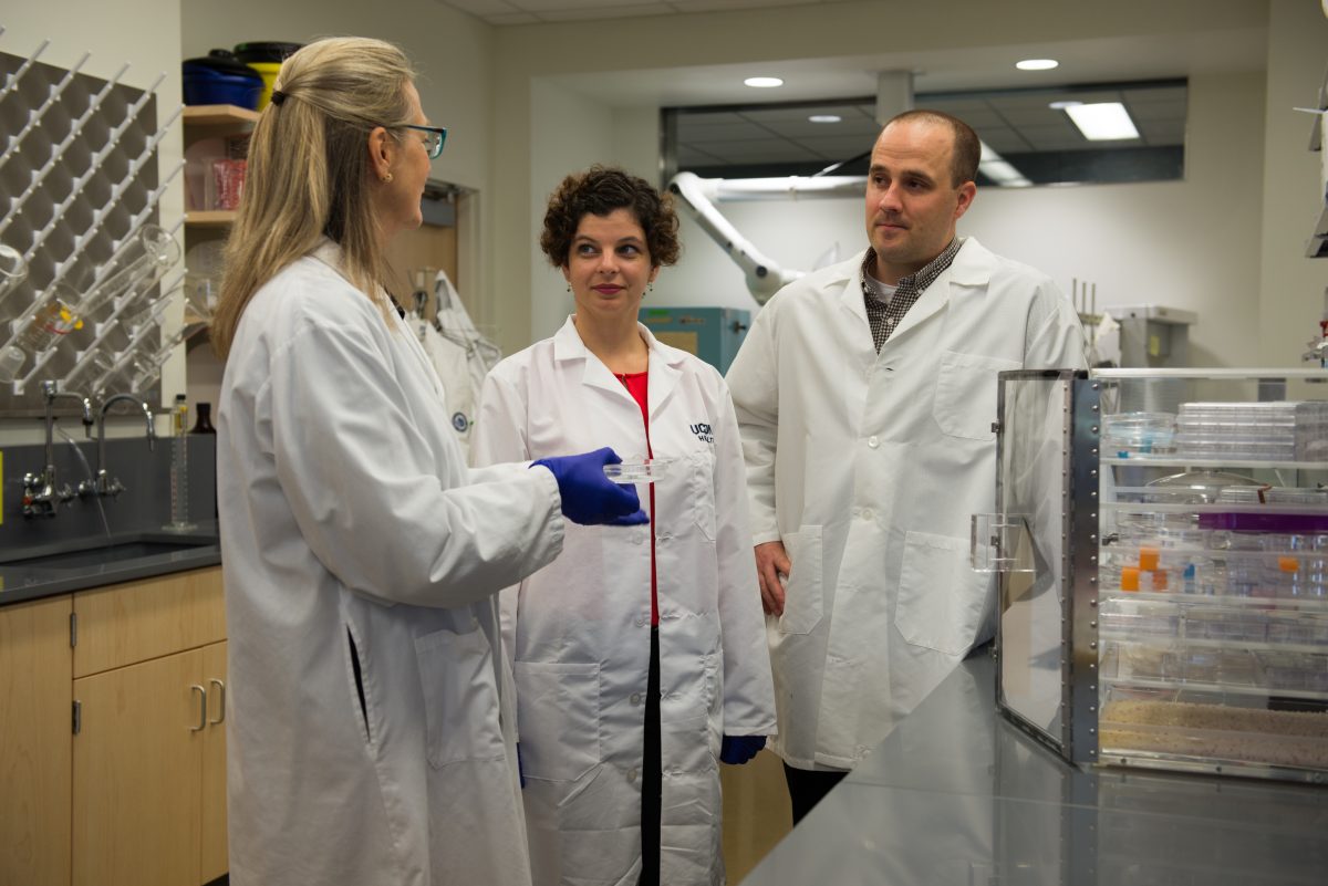 Biomedical Engineering | School of Dental Medicine